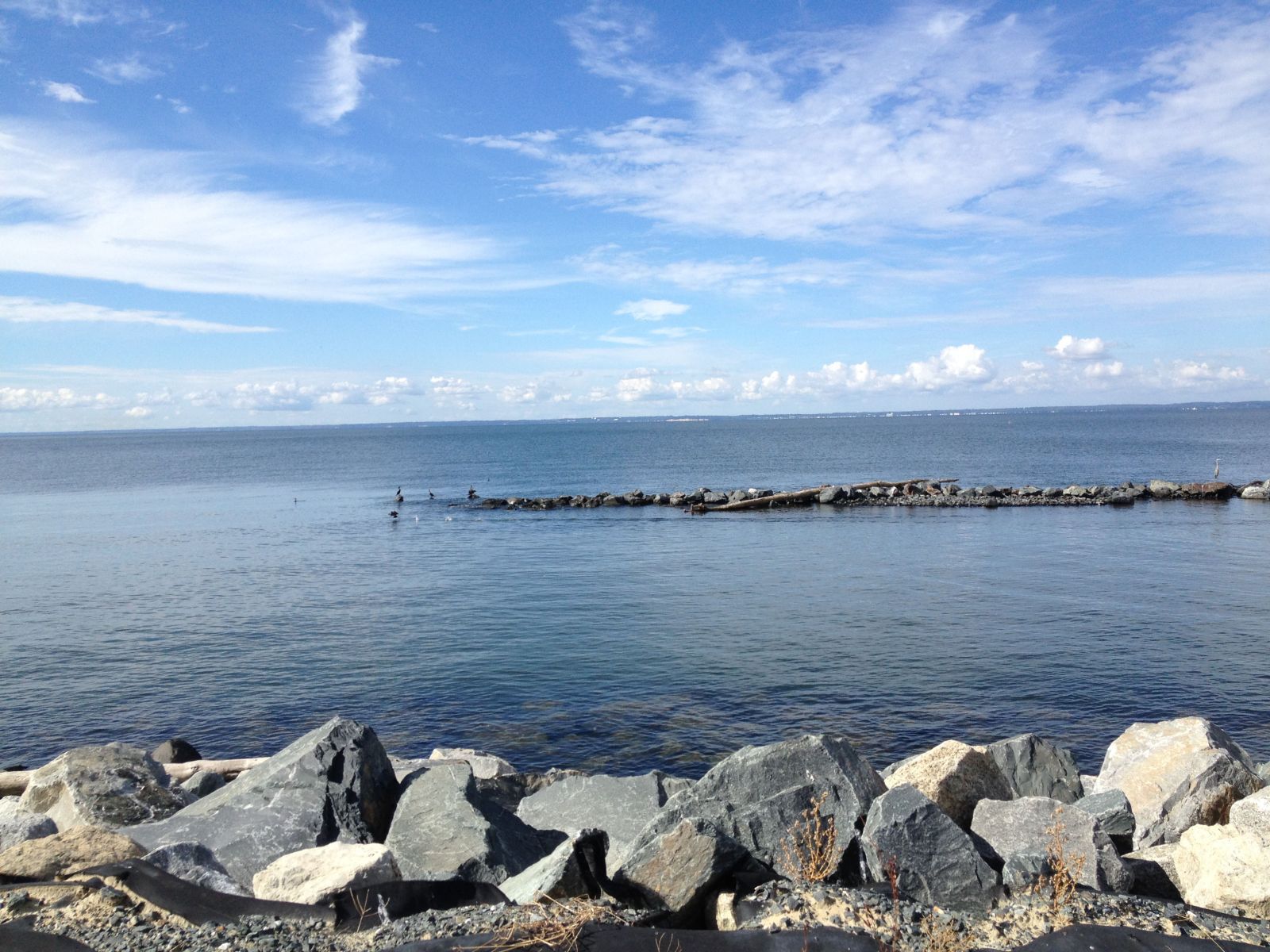 Modular Environmental Office and Classroom | A Modular Building Case ...